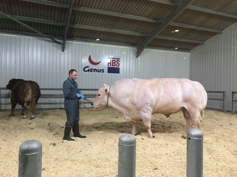 Milk Producer Visit to Genus Bull Stud - Belton Farm