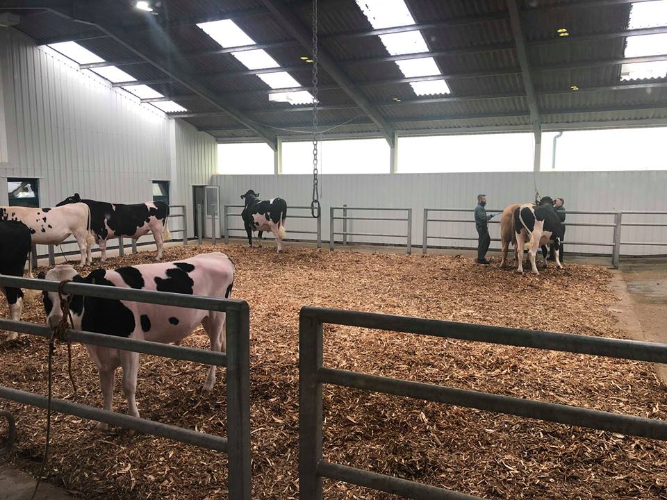Milk Producer Visit to Genus Bull Stud - Belton Farm